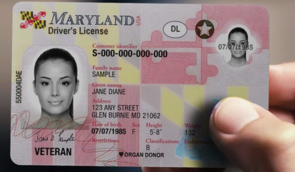 Buy A Maryland Driver's license Without Test & Exams - Order Now