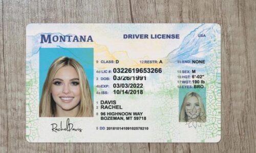 Order your Montana Drivers License - Without Test & Exams